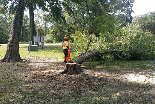 Bush Clearing | LNL Group